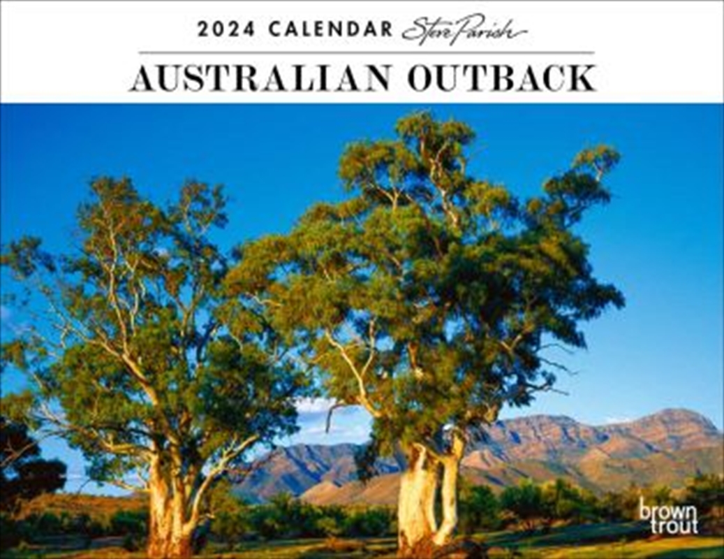 Buy Australian Outback Steve Parish 2024 12 x 19 Inch Monthly ...