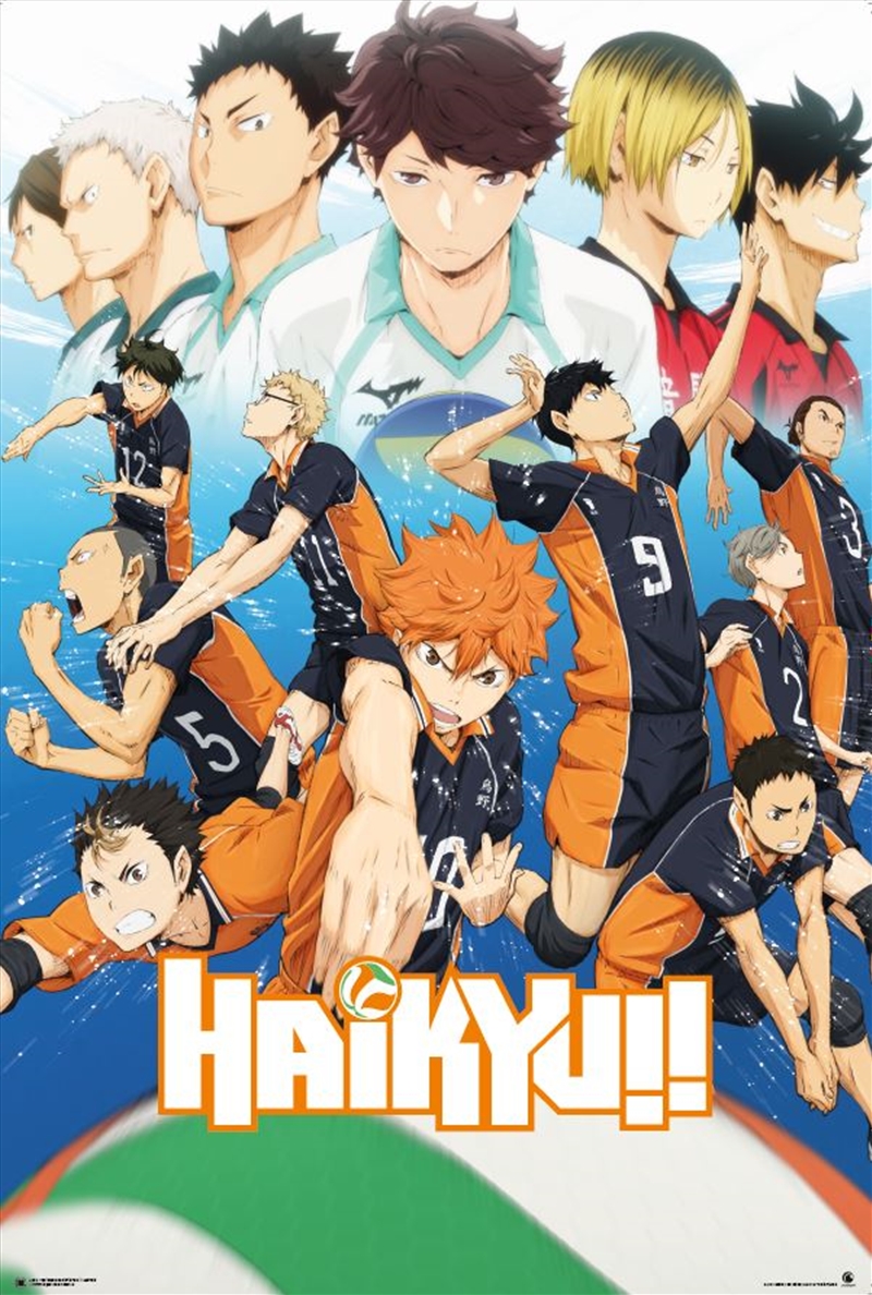 Buy Haikyu!! - Karasuno Team Online | Sanity