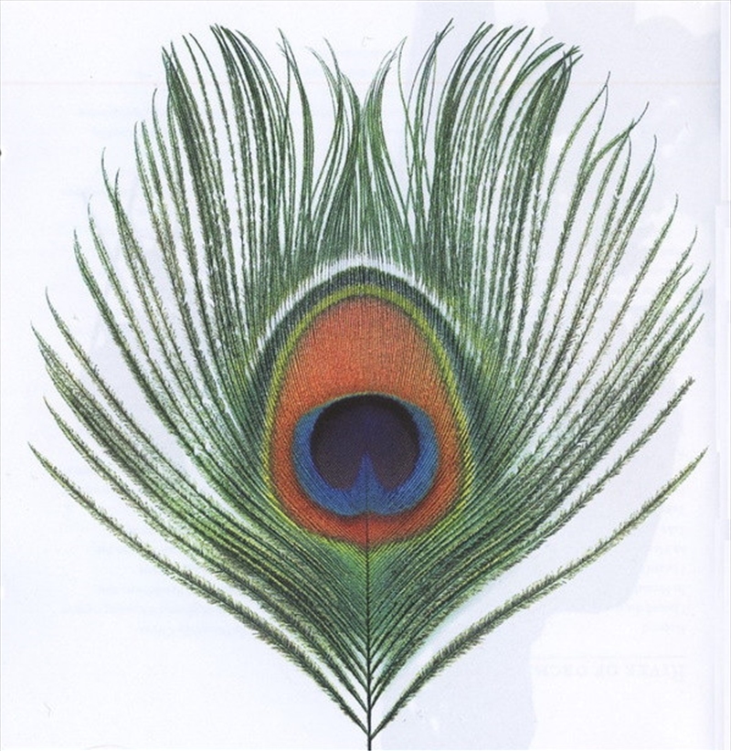 Buy Xtc - Apple Venus 1 Online | Sanity