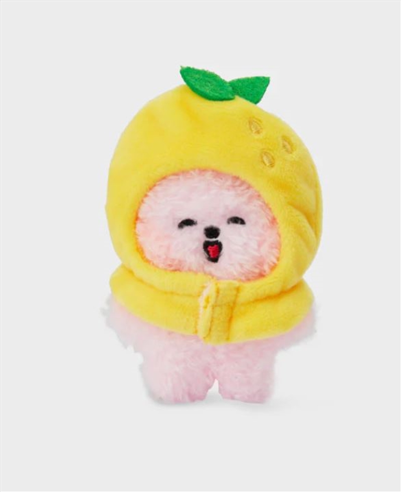 Buy BT21 Fresh Mini Minini Grocery Fruit: Cooky Online | Sanity
