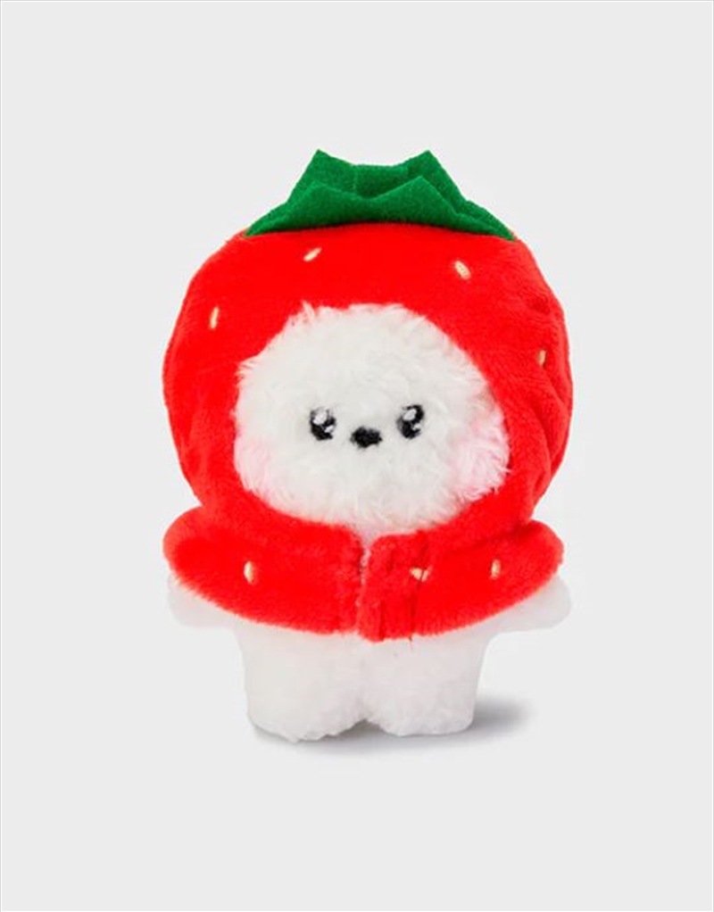 Buy BT21 Fresh Mini Minini Grocery Fruit: RJ Online | Sanity