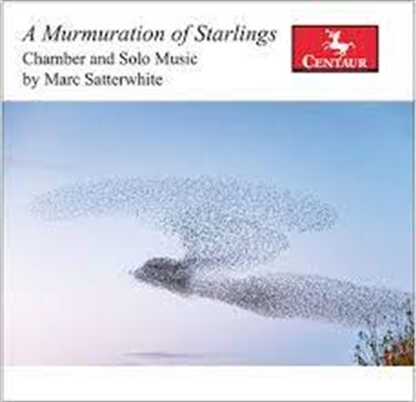 Buy Murmuration Of Starlings Online | Sanity