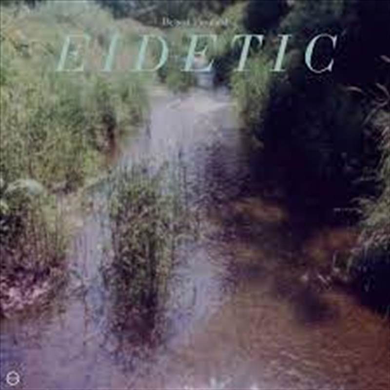 Buy Eidetic Online | Sanity