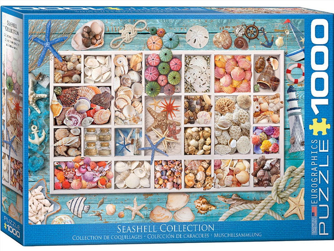 Buy Seashell Collection 1000 Piece Online | Sanity