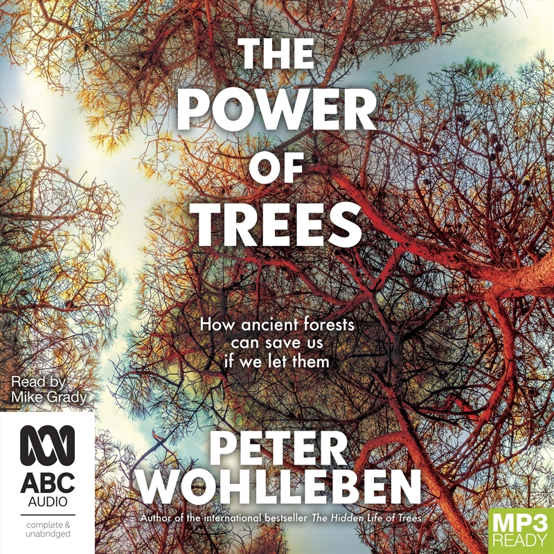 Buy Power of Trees How Ancient Forests Can Save Us If We Let Them, The ...